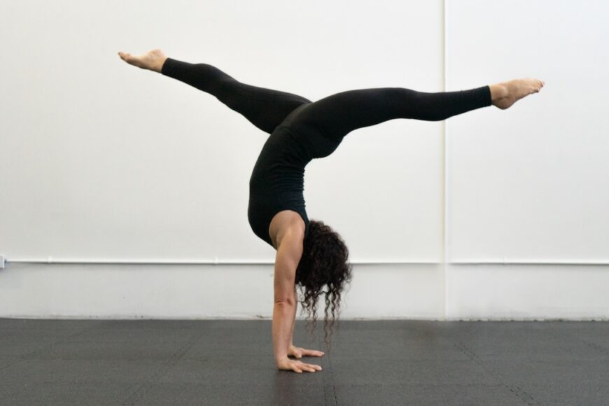 Our Classes ⋆ The Circus Fix